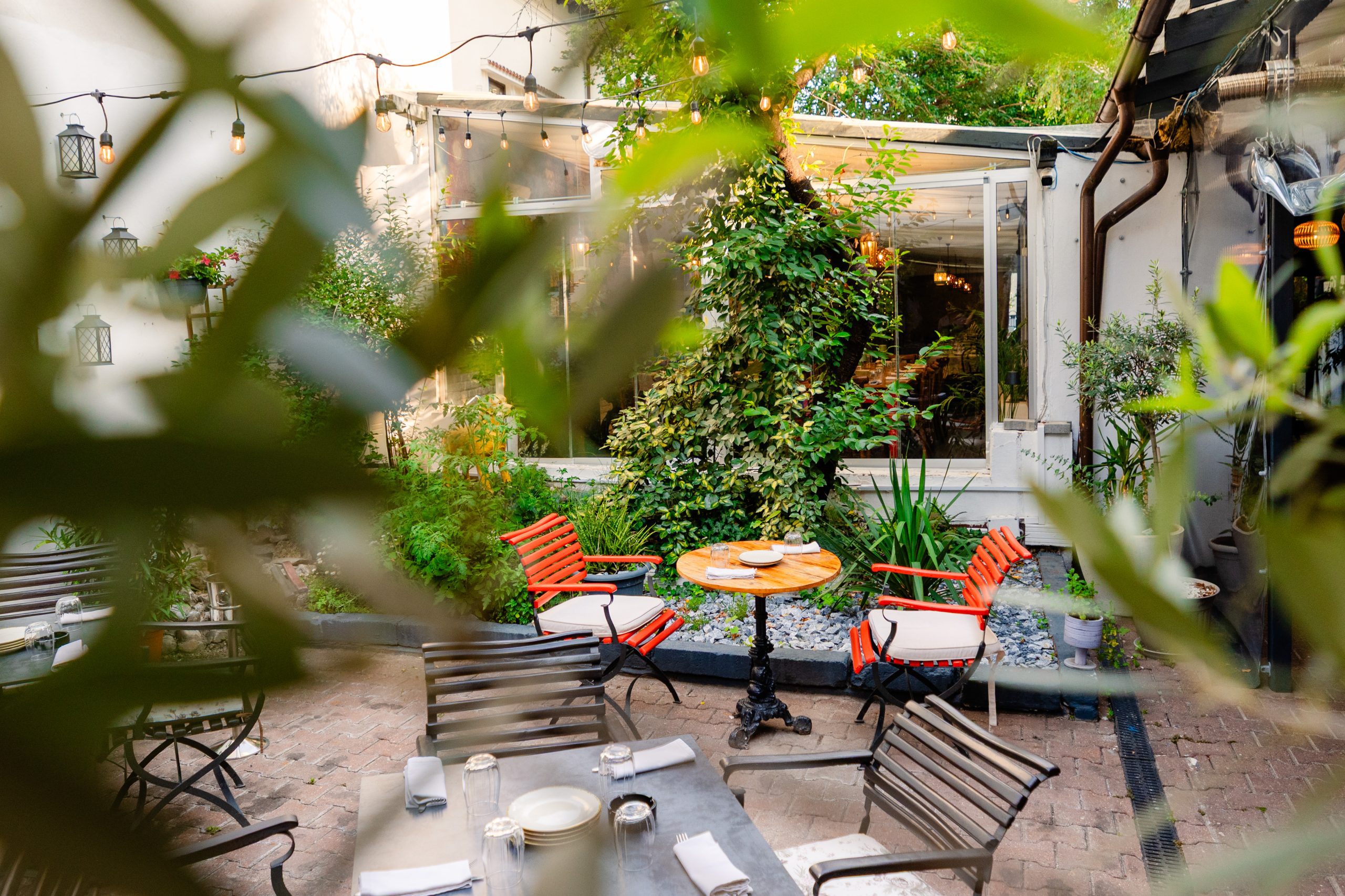 Restaurant cu grădină în centrul Bucureștiului | Brera - Brera Bucharest
